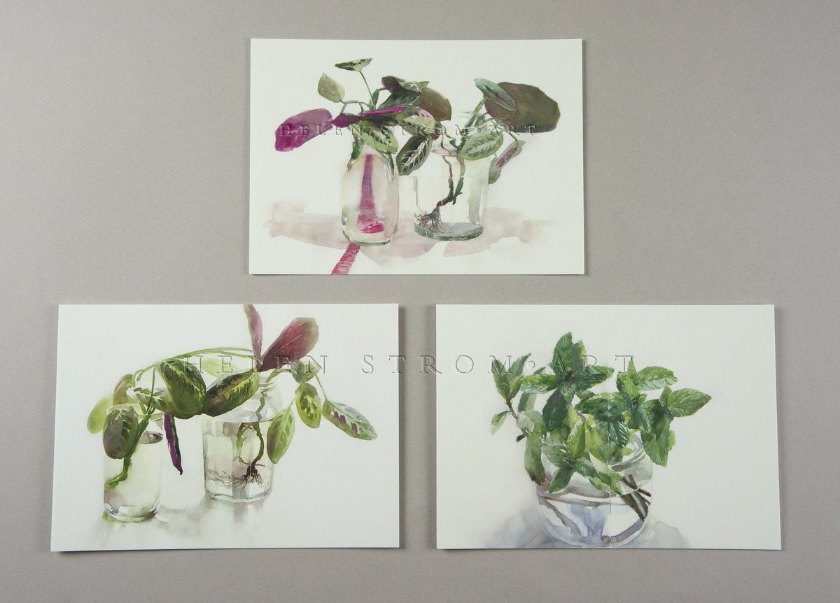 Selection botanique verte – Helen Ström